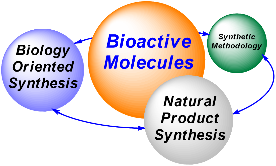 Research - TheXieGroup